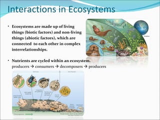 Chapter 2 - Ecosystems - Science 10E | PPT | Geography | Science