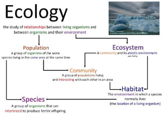 Chapter 2 - Ecosystems - Science 10E | PPT