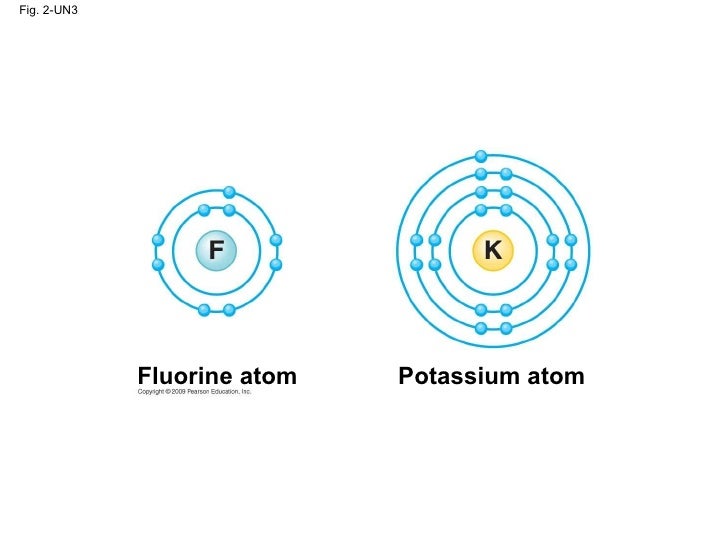 Chapter 2:Chemistry of Life