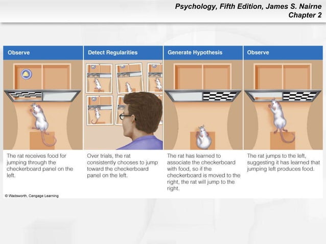 Psychology 101: Chapter2 | PPT