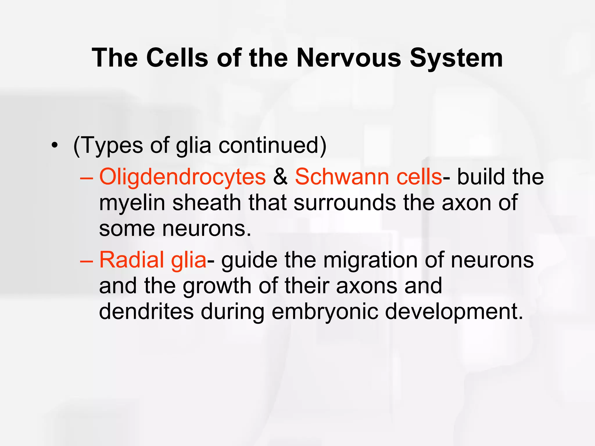 Chapter2 Power Point Presentation | PPT