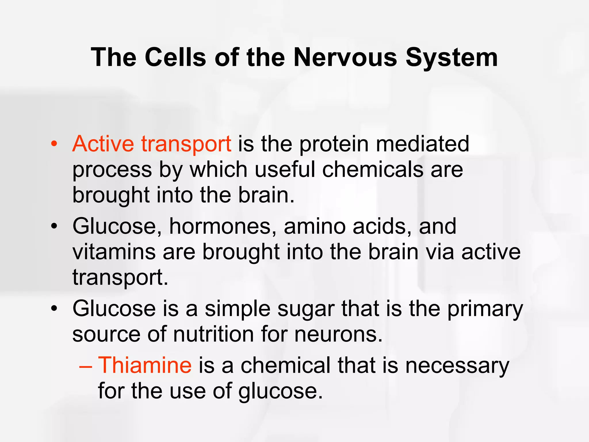 Chapter2 Power Point Presentation | PPT
