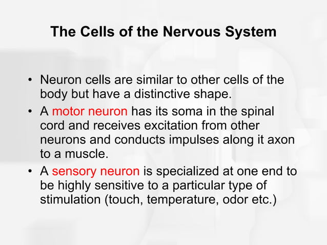 Chapter2 Power Point Presentation | PPT