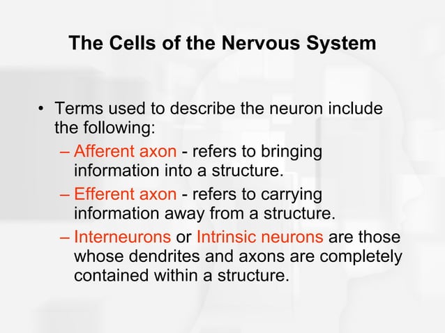 Chapter2 Power Point Presentation | PPT