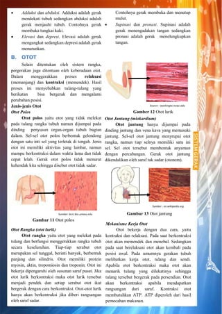 Chapter 2 : Joints and Muscle | PDF | Free Download