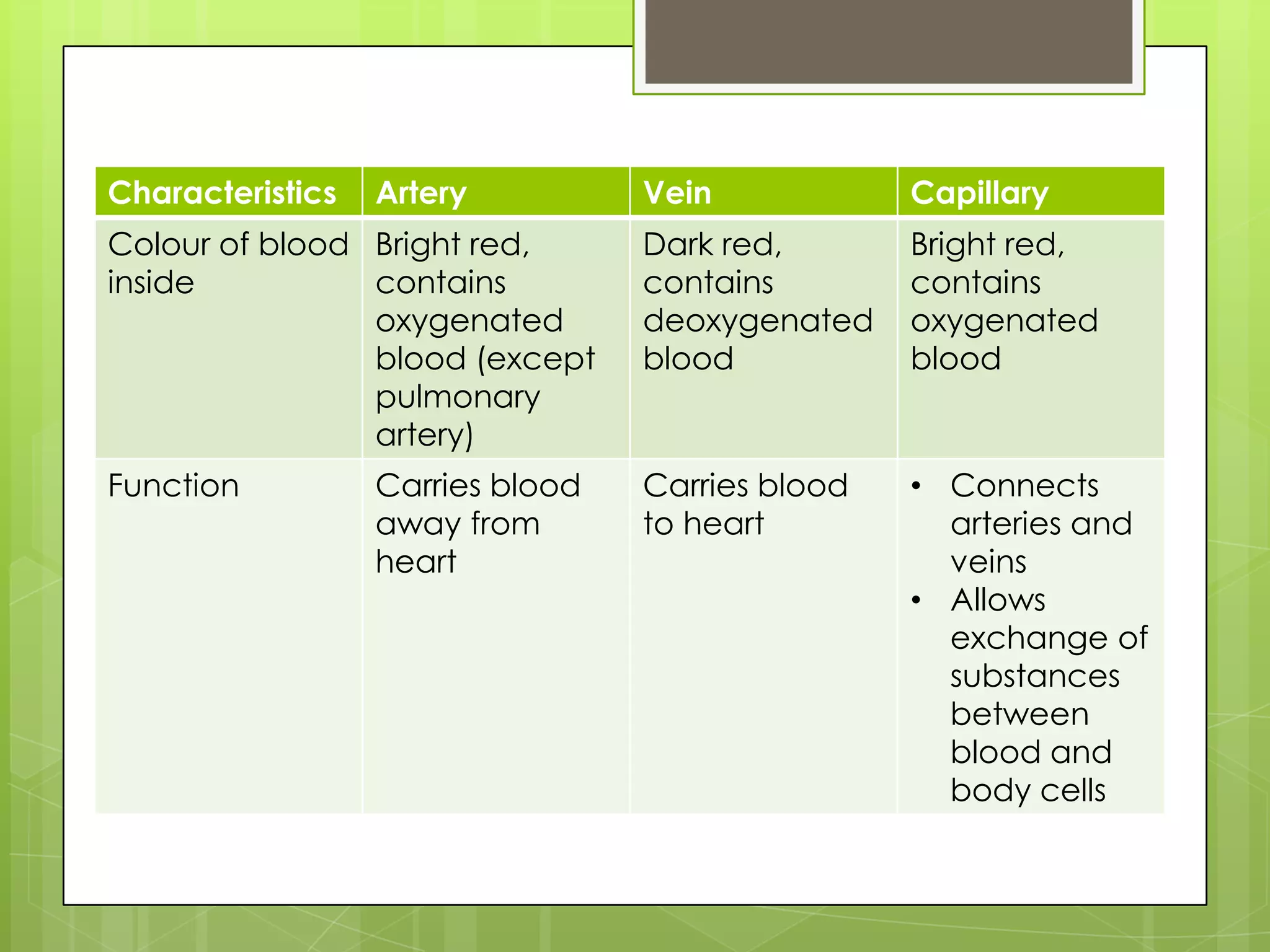 Chapter 2 Blood Circulation & Transport | PPTX