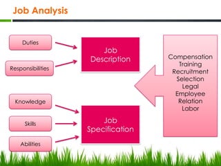Chapter 2. job analysis and evaluation (1) | PPTX