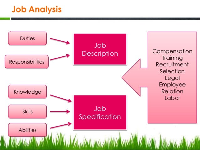 Chapter 2. job analysis and evaluation (1)