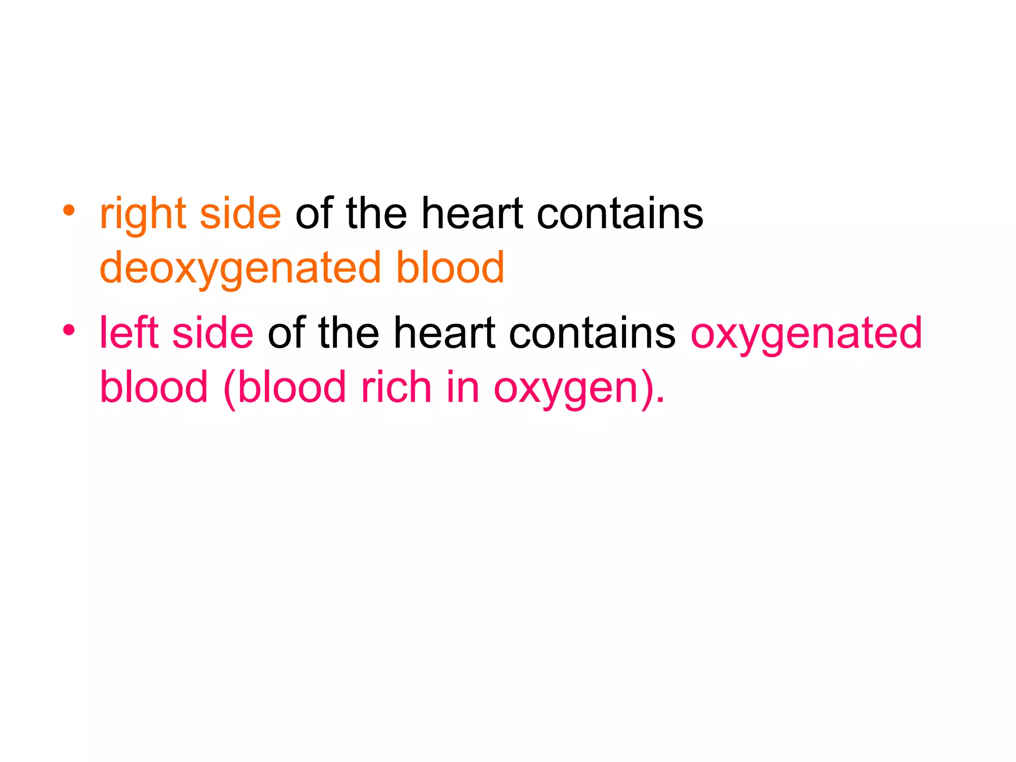 BLOOD CIRCULATION | PPT