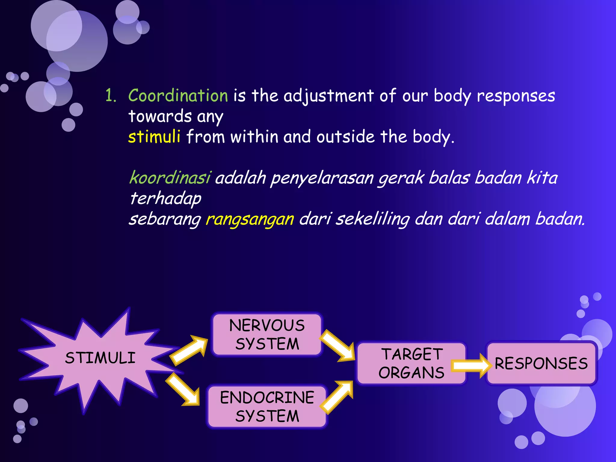 Chapter 2 Body Coordination | PPTX