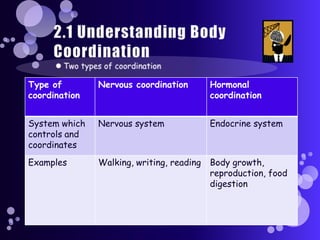 Chapter 2 Body Coordination | PPT