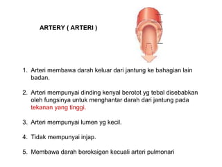 Chapter 2.1 blood circulation revised 2010 | PPT