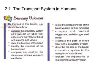 Chapter 2.1 blood circulation revised 2010 | PPT
