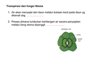 Chapter 2.3 transport system in plants revised 2010- nota pelajar | PPT