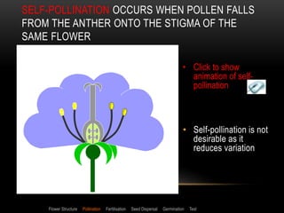reproduction in flowering plants | PPTX