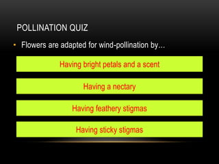 reproduction in flowering plants | PPTX