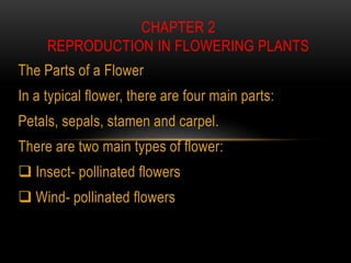 reproduction in flowering plants | PPTX