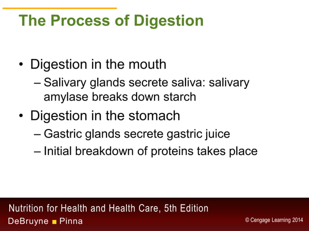 Chapter 2 - Digestion and Absorption | PPT