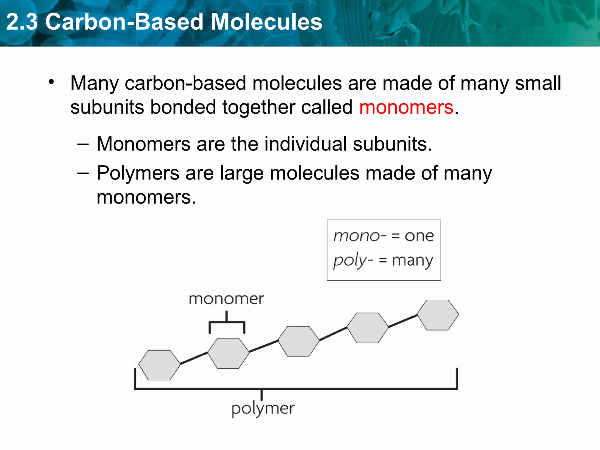 Chapter 2.3 carbon based molecules | PPT