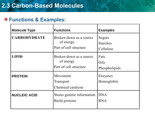 Chapter 2.3 carbon based molecules | PPT