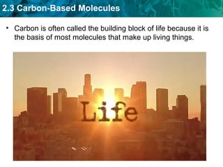 Chapter 2.3 carbon based molecules | PPT