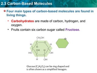 Chapter 2.3 carbon based molecules | PPT