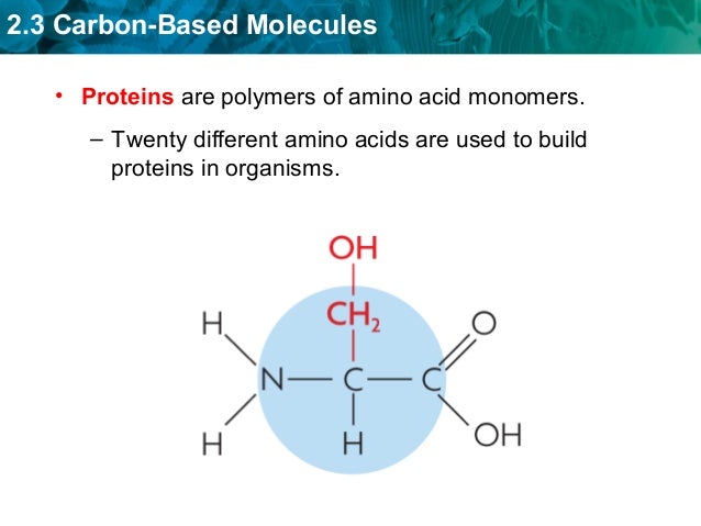 Chapter 2.3 carbon based molecules