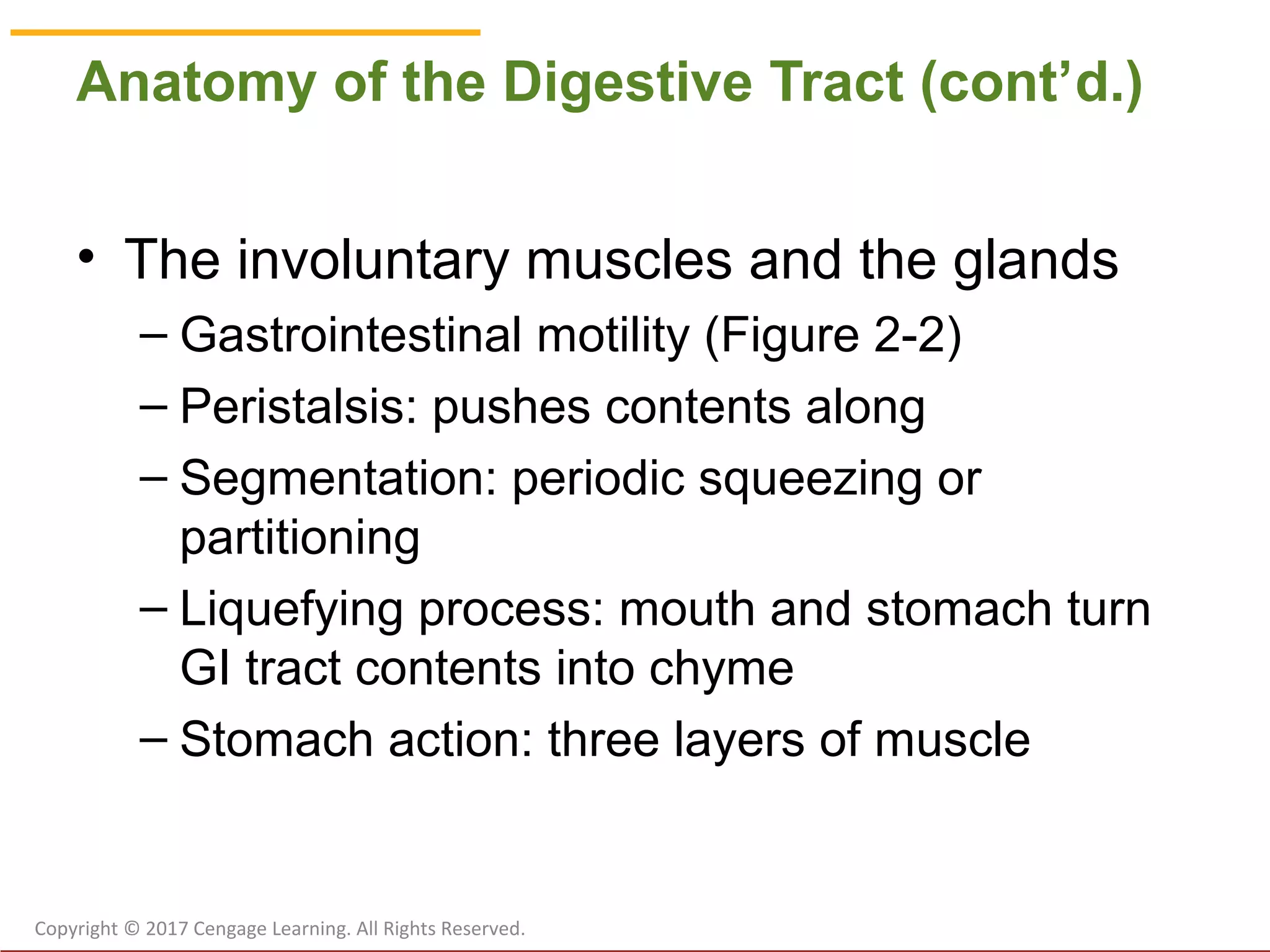 Chapter 2: Digestion and Absorption | PPT