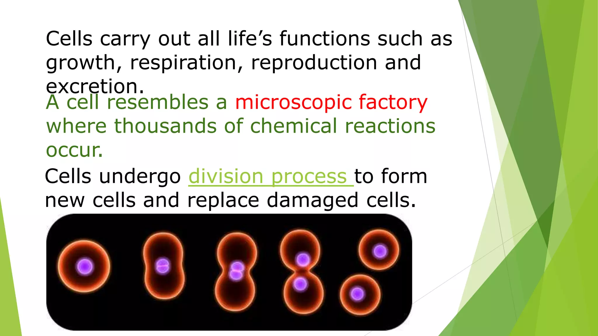 CELL AS A BASIC UNIT OF LIFE | PPTX