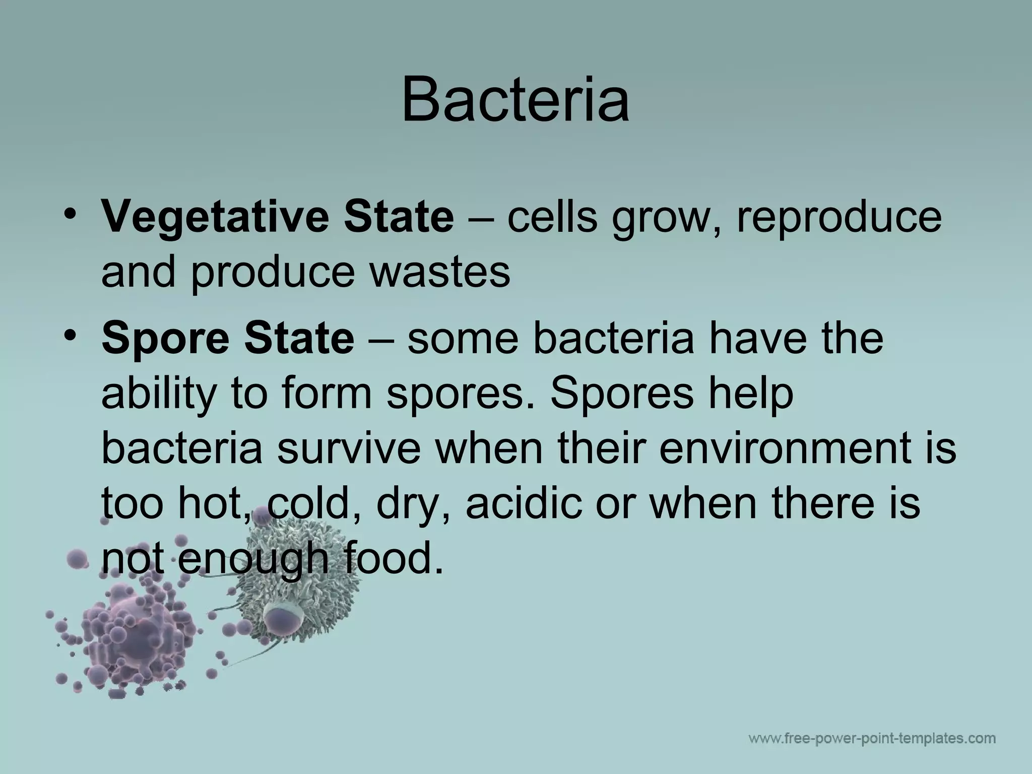 Chapter 2 | PPT