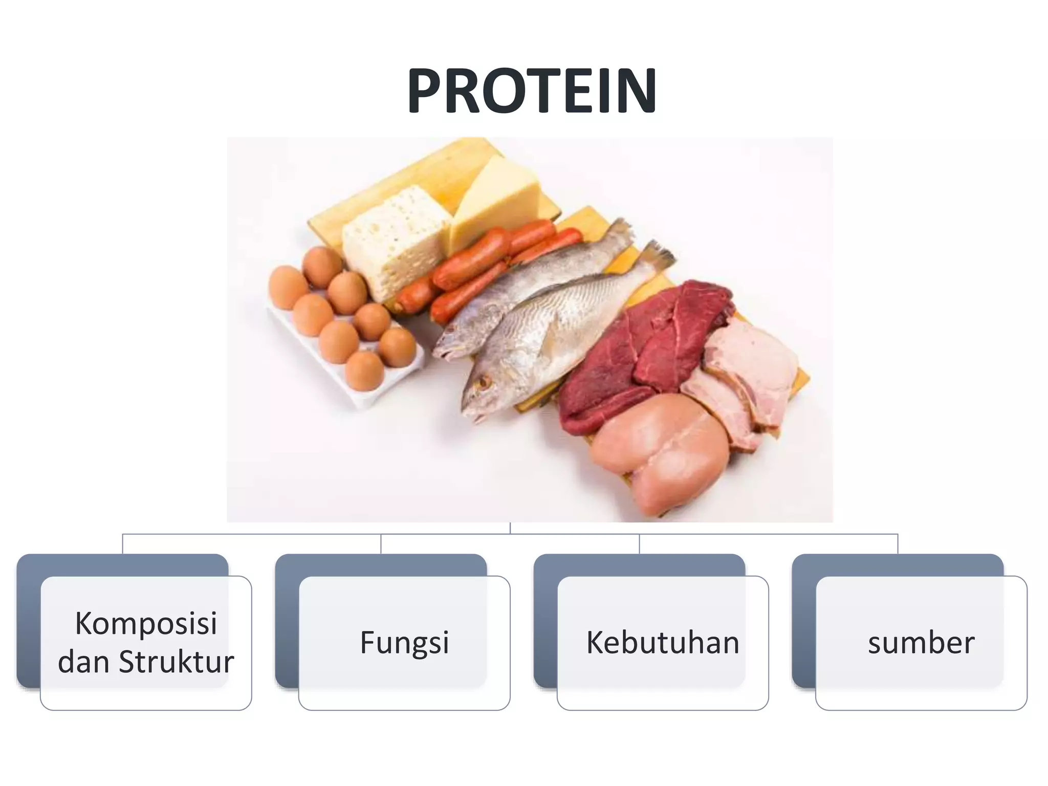 Chapter 2. protein | PPTX
