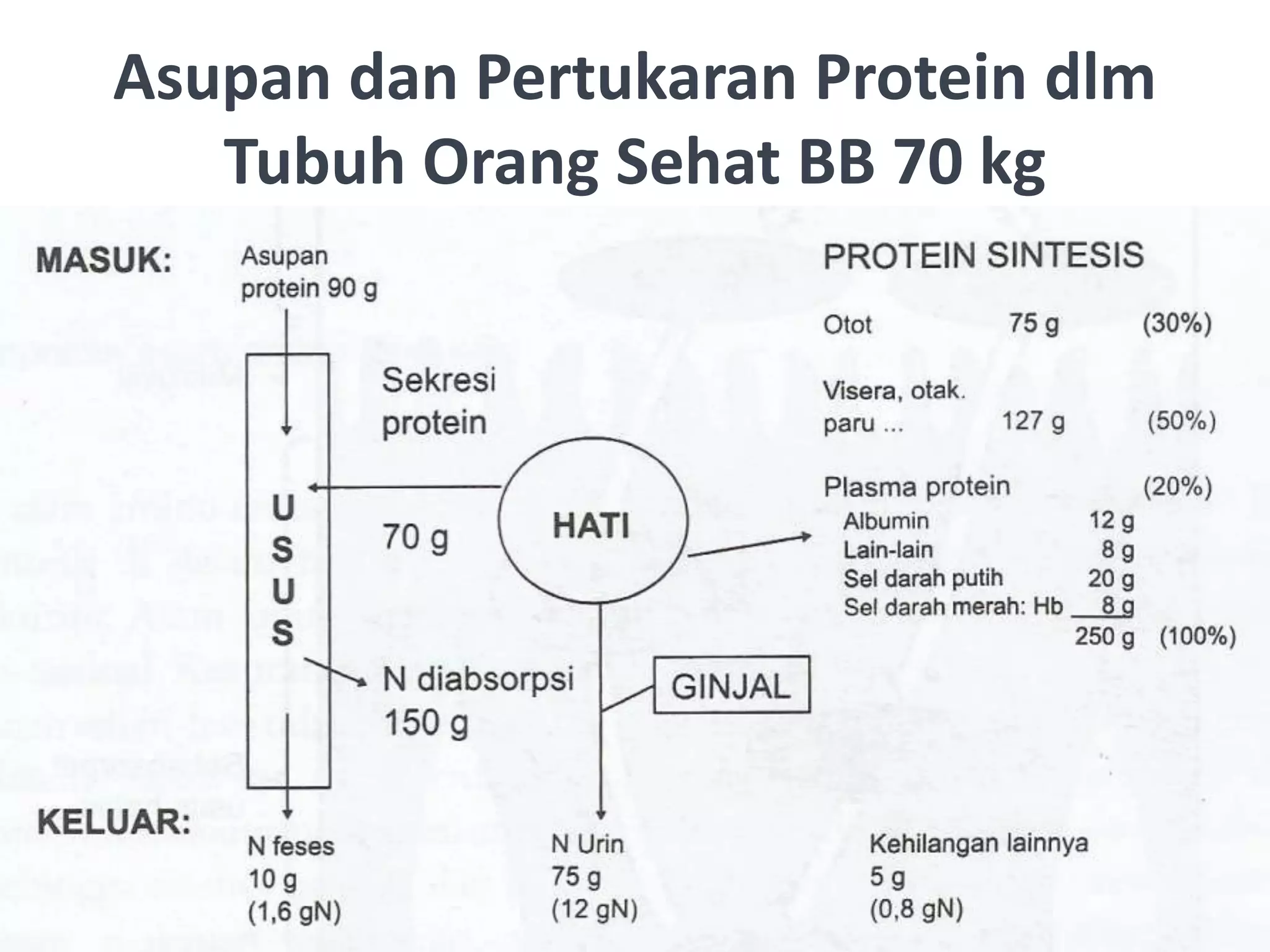 Chapter 2. protein | PPTX