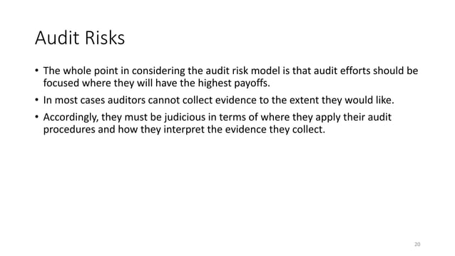 Conducting an Information Systems Audit | PPTX