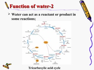 chapter2-1 The molecular composition of cells (2).ppt