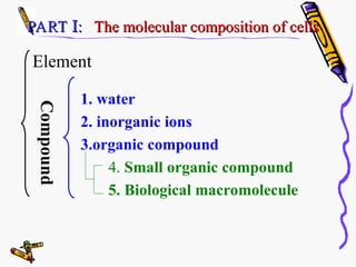 chapter2-1 The molecular composition of cells (2).ppt