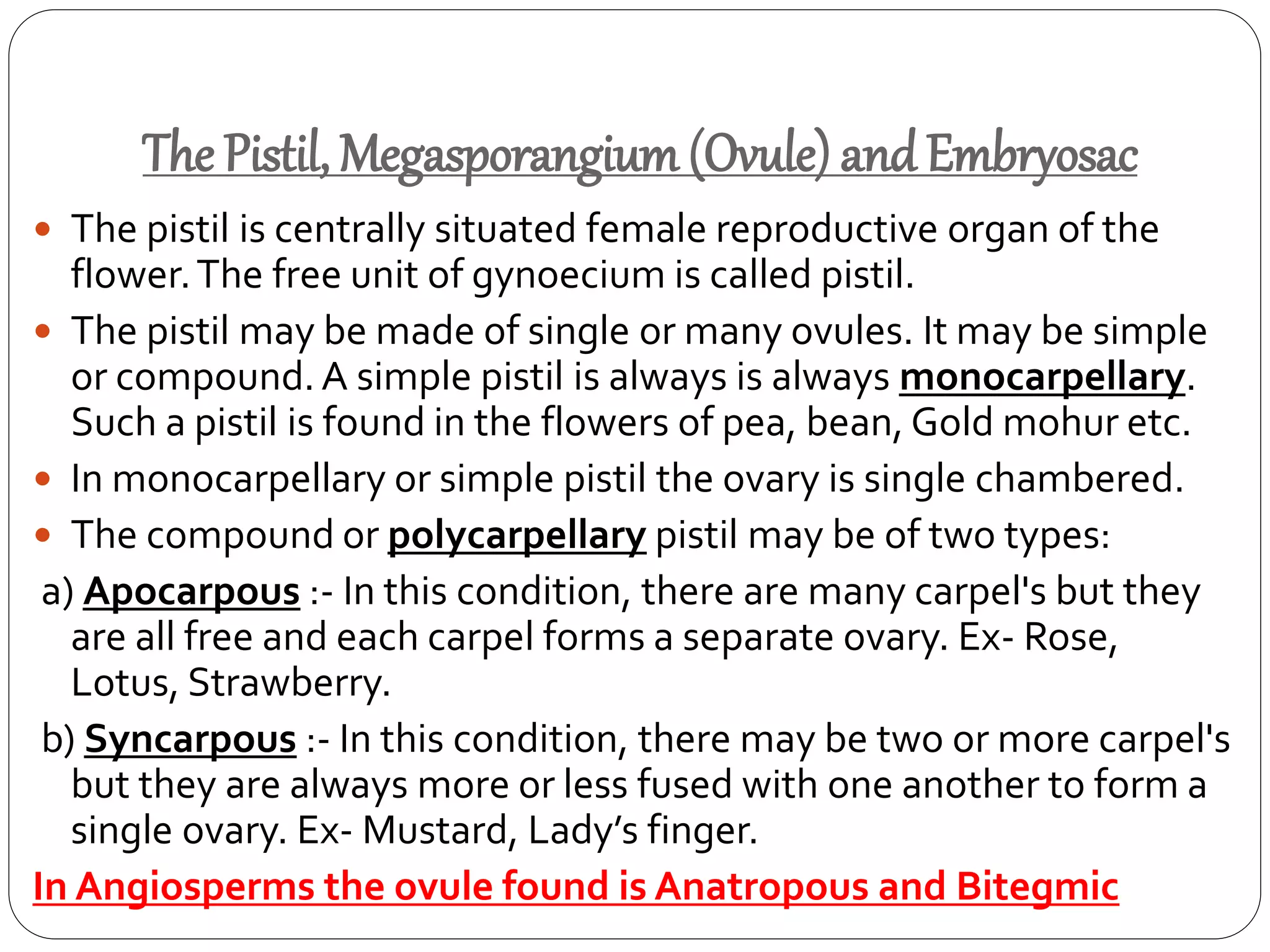 Class 12||Chapter 2|| Sexual Reproduction in flowering plants | PPTX