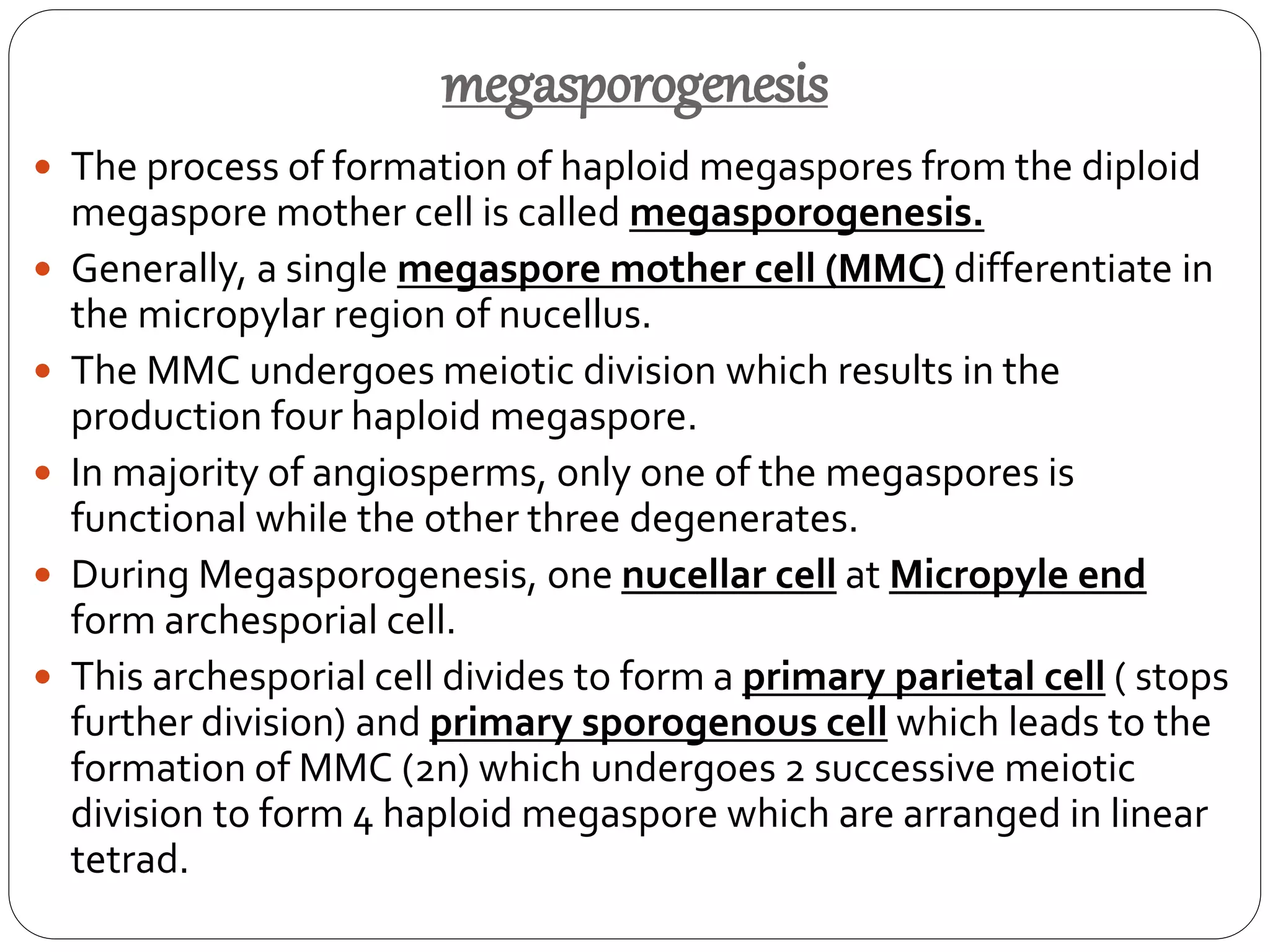 Class 12||Chapter 2|| Sexual Reproduction in flowering plants | PPTX