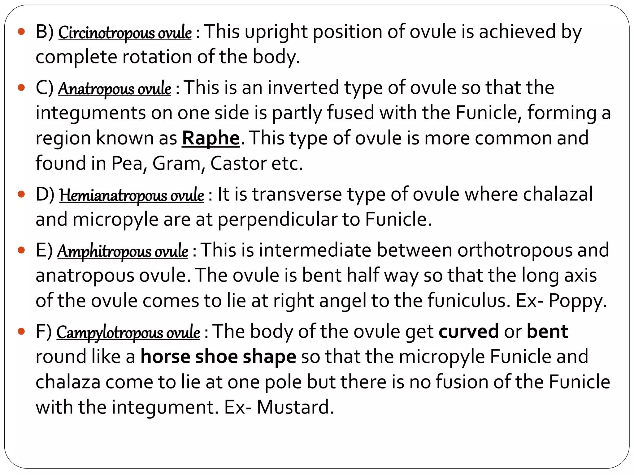 Class 12||Chapter 2|| Sexual Reproduction in flowering plants | PPTX