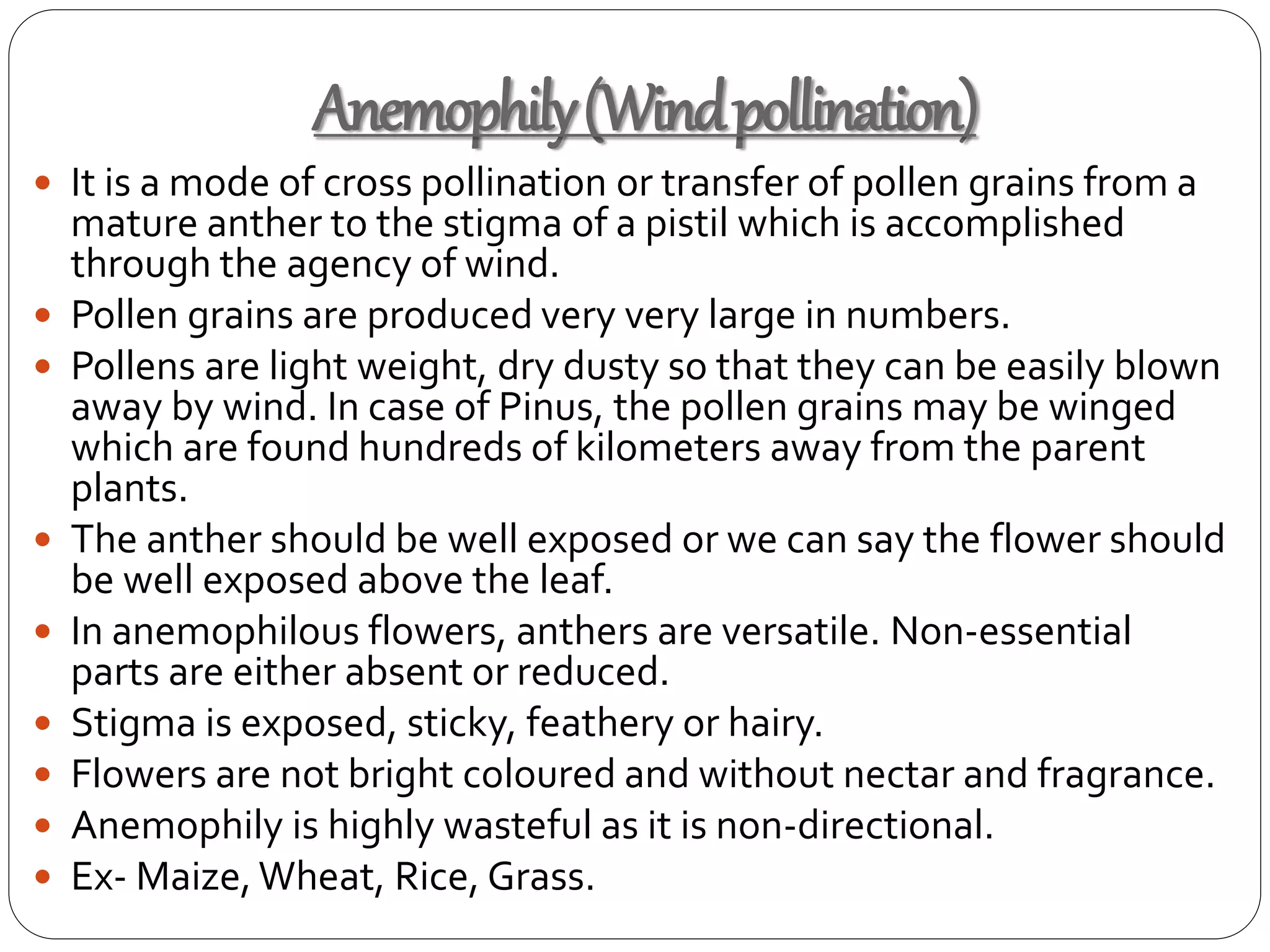 Class 12||Chapter 2|| Sexual Reproduction in flowering plants | PPTX