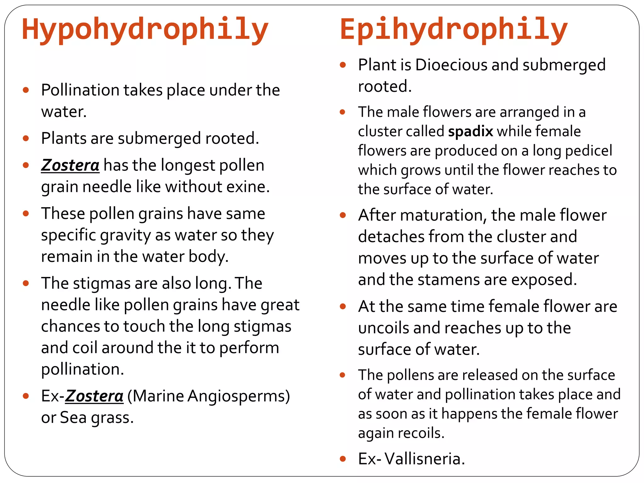 Class 12||Chapter 2|| Sexual Reproduction in flowering plants | PPTX