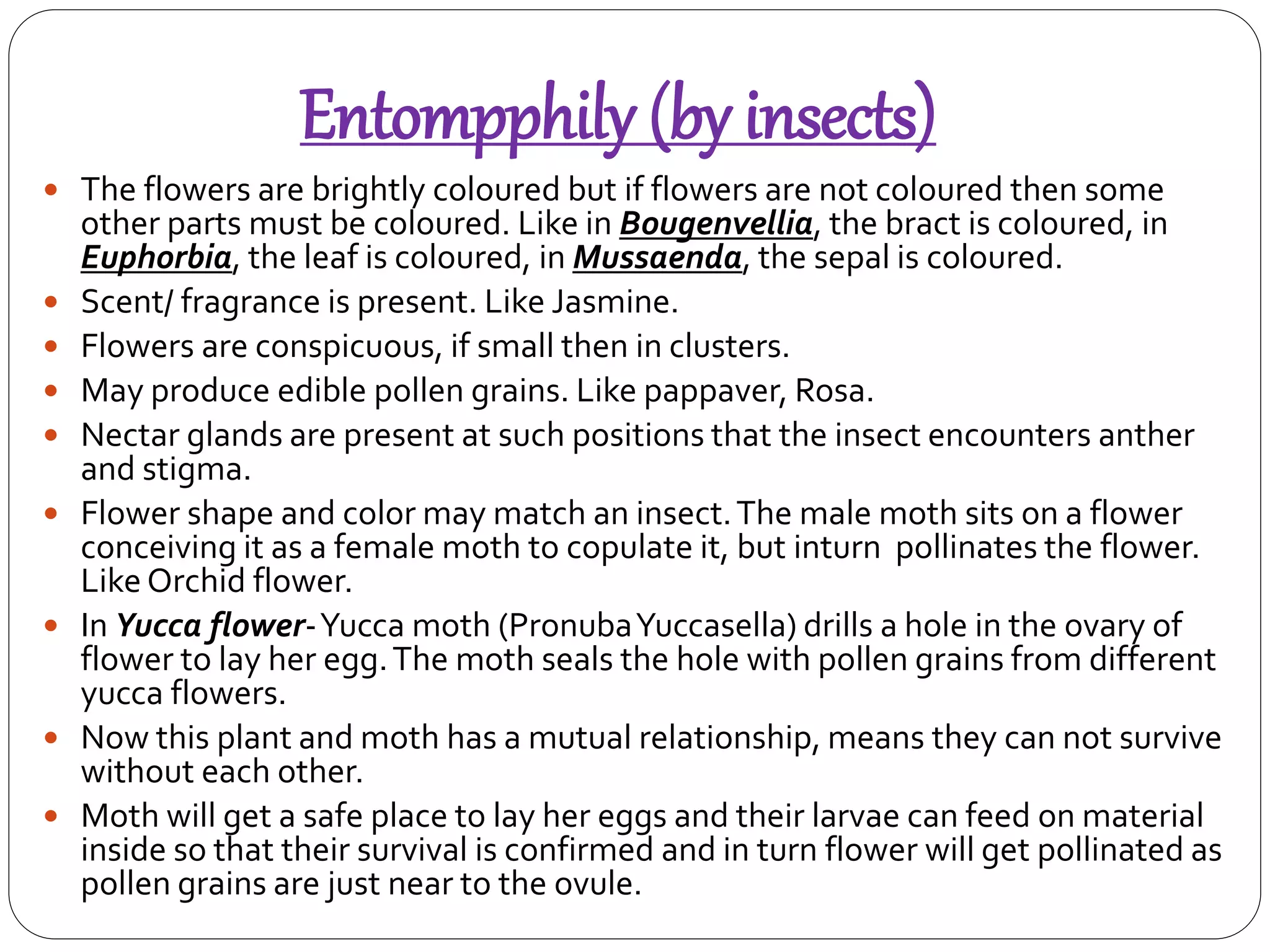 Class 12||Chapter 2|| Sexual Reproduction in flowering plants | PPTX