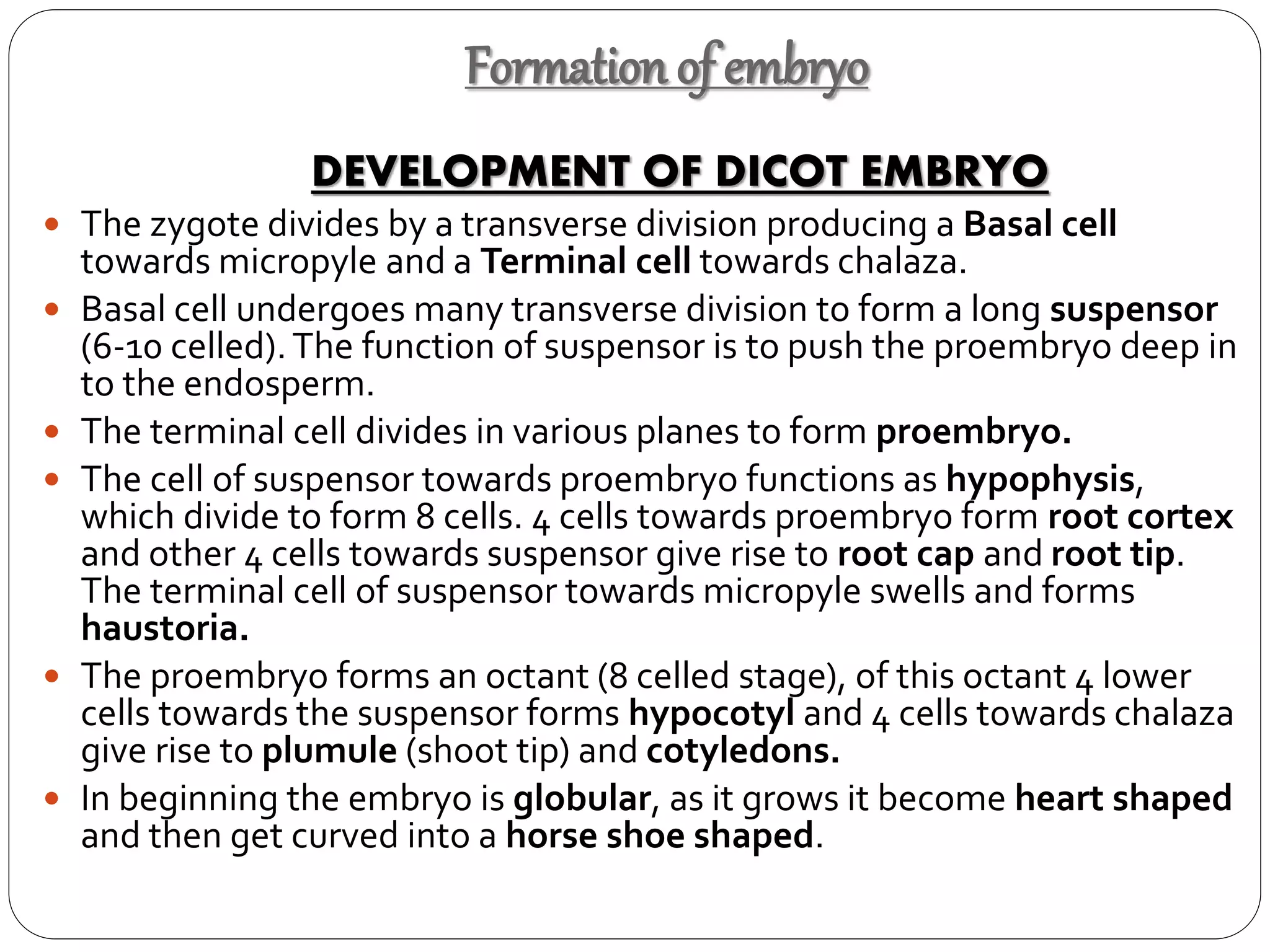 Class 12||Chapter 2|| Sexual Reproduction in flowering plants | PPTX