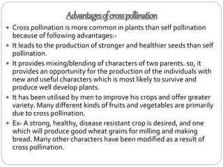 Class 12||Chapter 2|| Sexual Reproduction in flowering plants | PPTX