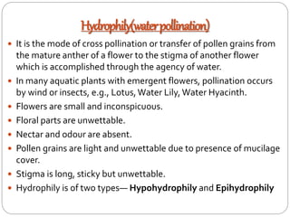Class 12||Chapter 2|| Sexual Reproduction in flowering plants | PPTX