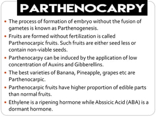 Class 12||Chapter 2|| Sexual Reproduction in flowering plants | PPTX