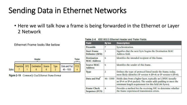 Chapter 2 Fundamentals Of Ethernet La Ns Pptx Computer Networking