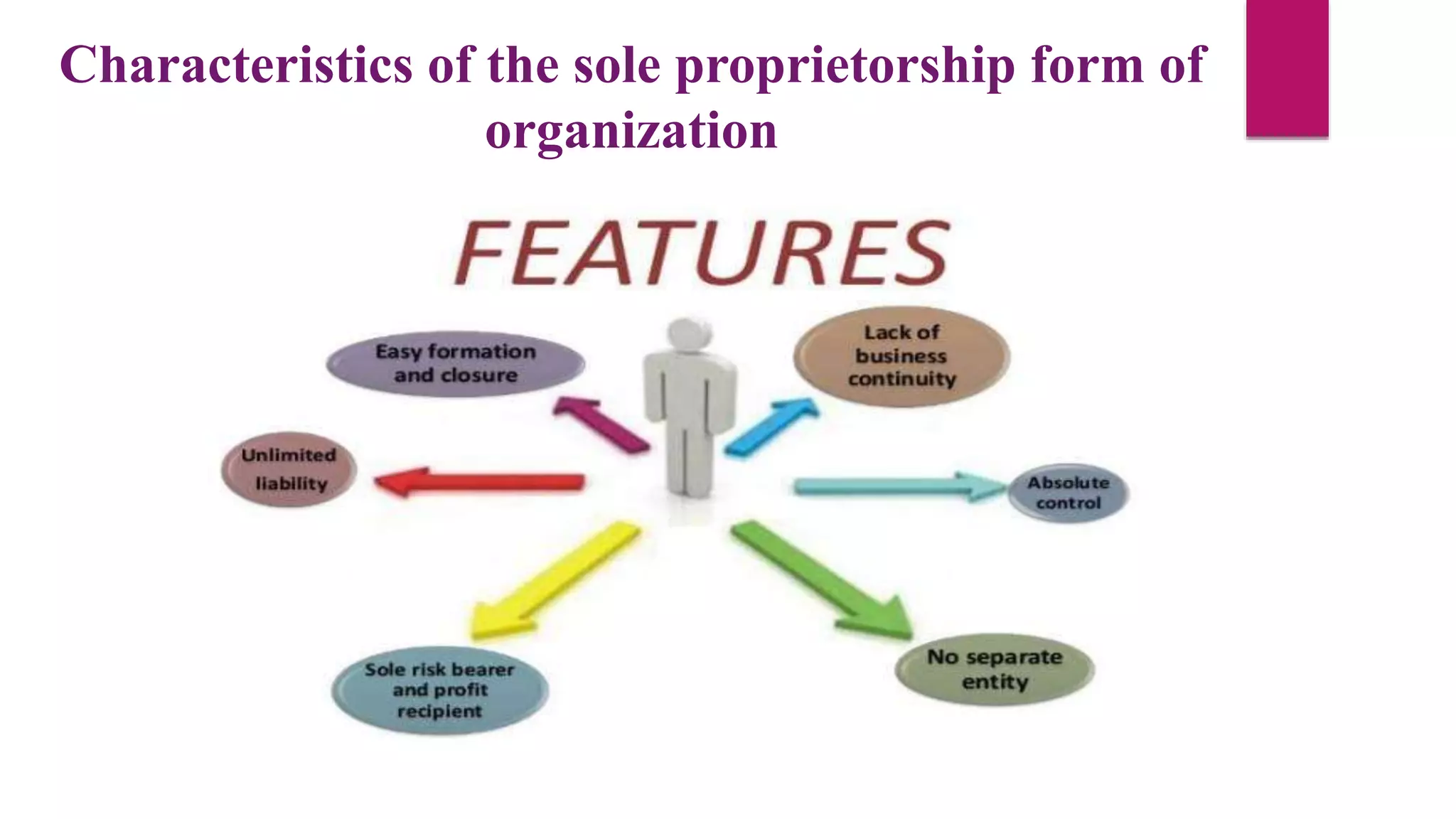 Forms of Business Organization | PPTX