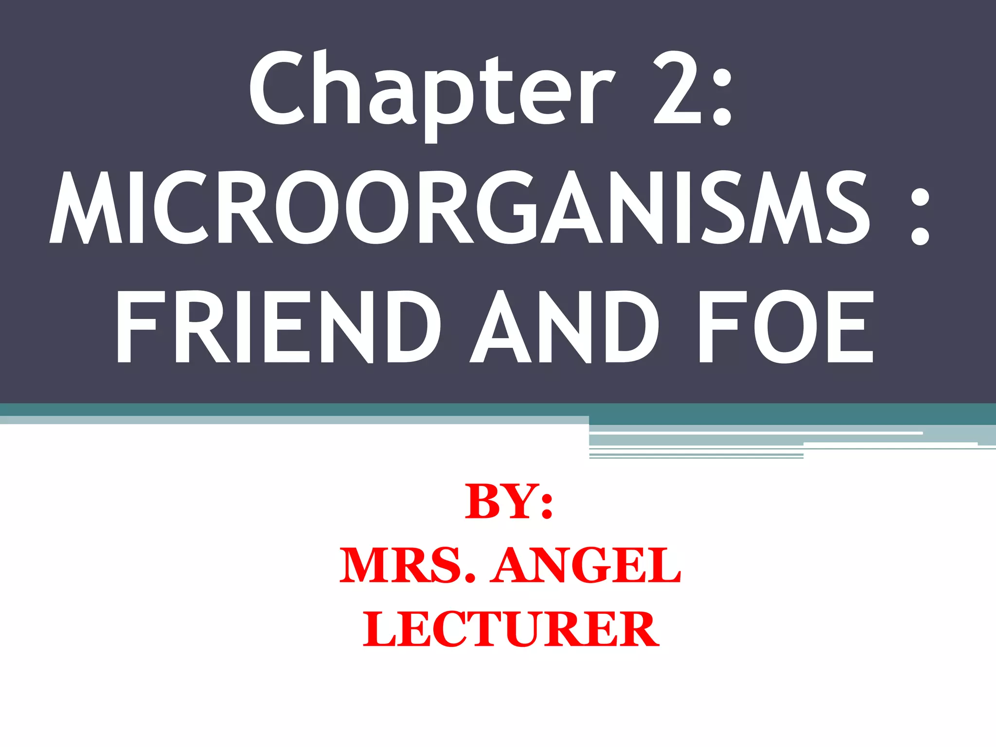 Class VIII Science: Chapter 2: Microorganisms; Friend and Foe | PDF