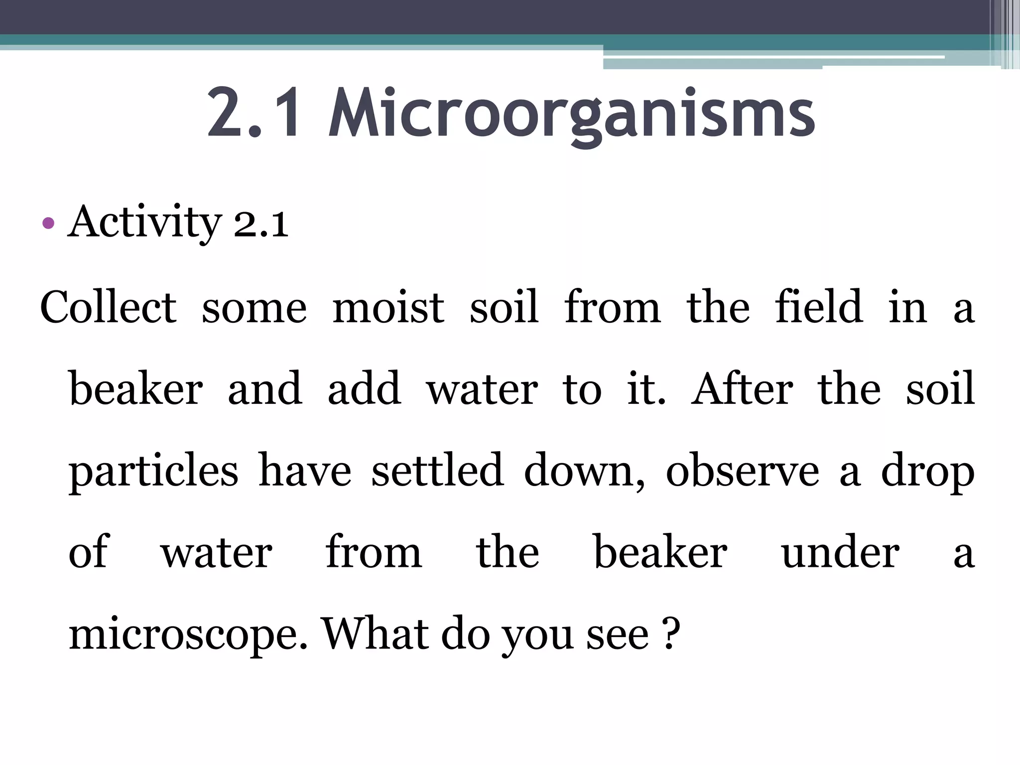 Class VIII Science: Chapter 2: Microorganisms; Friend and Foe | PDF