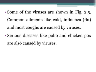 Class VIII Science: Chapter 2: Microorganisms; Friend and Foe | PDF